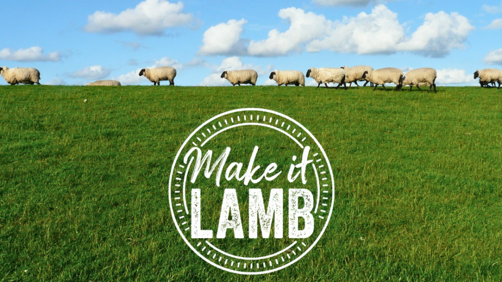 Love Lamb | National Sheep Association